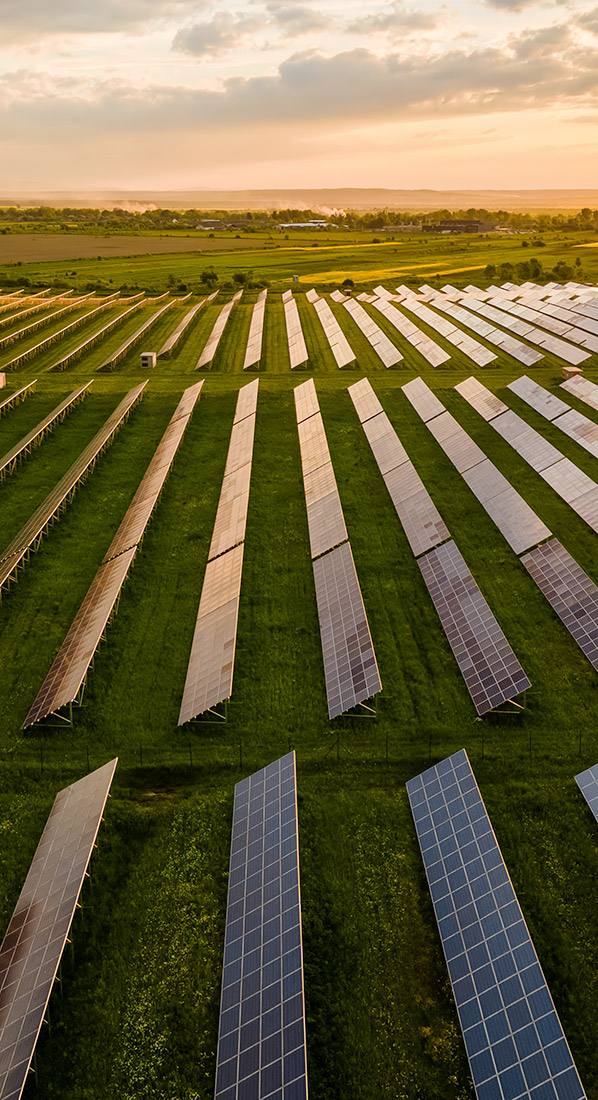 What we do - Ortus Italy