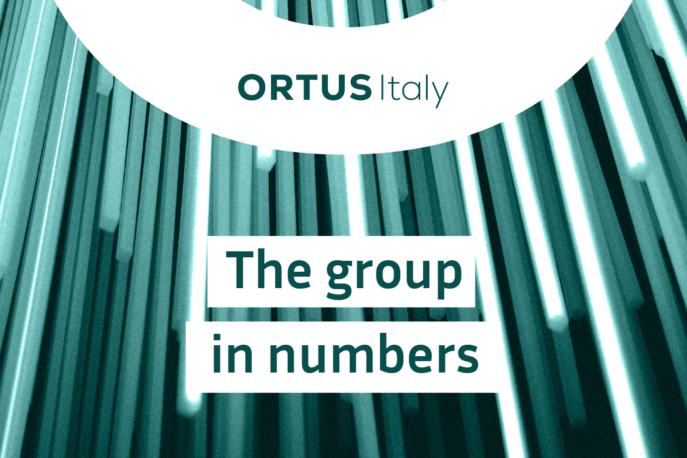 Ortus Italy - The group in numbers - Ortus Italy